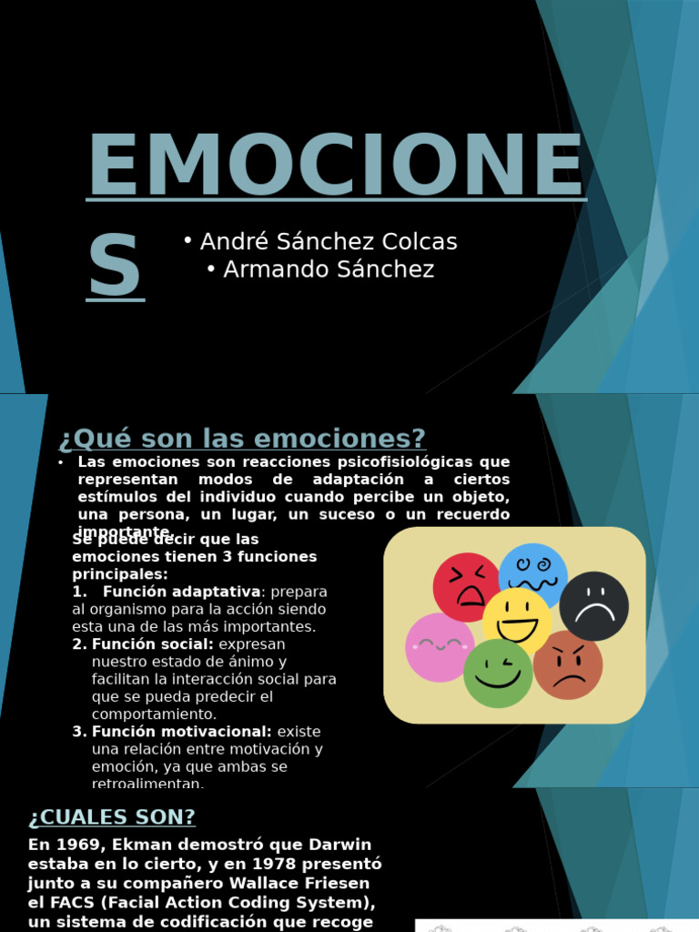 Emociones Y Sentimientos Pdf