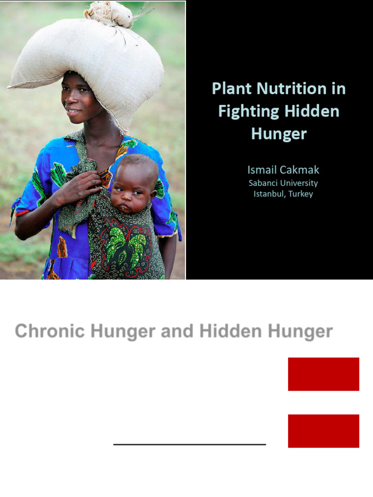 AA-Plant Nutrition and Hidden Hunger | PDF