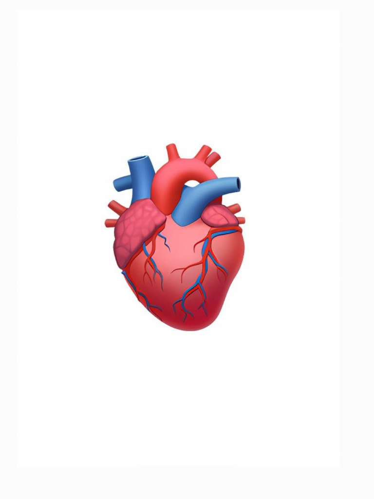 Anatomical Heart emoji | PDF