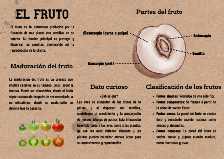 El Fruto | PDF