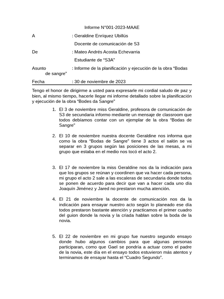 Informe N001-2023-MAAE | PDF