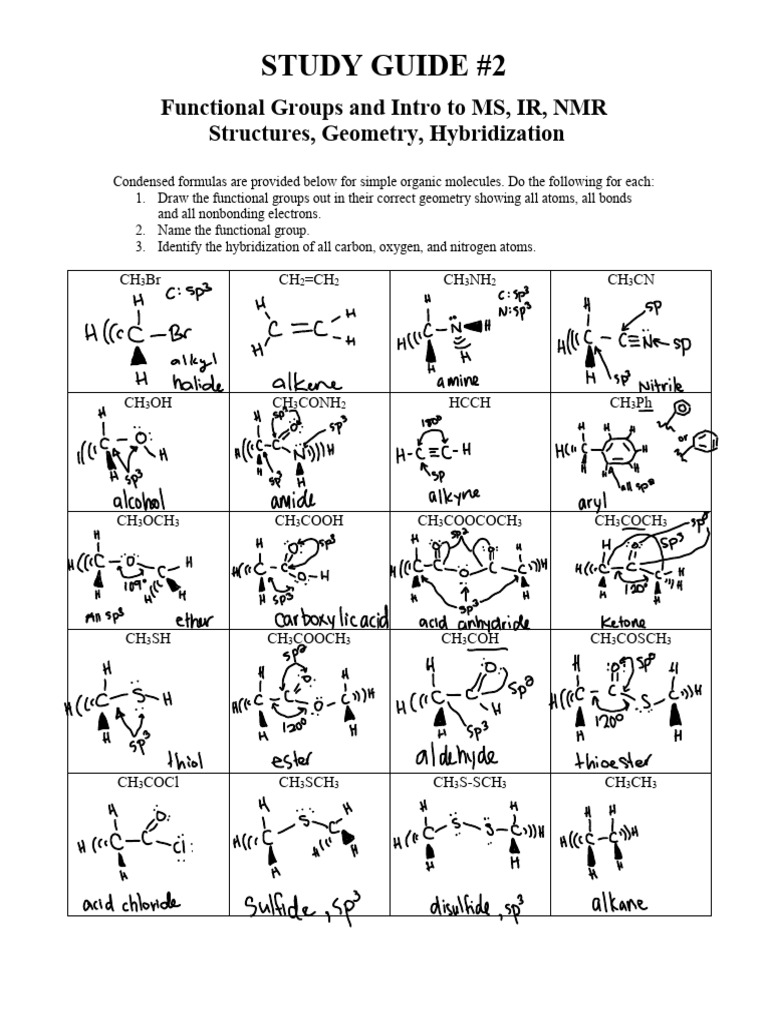 Study Guide #2 - Summer 2023 Functional Groups and Intro To MS, IR, NMR | PDF | Proton Nuclear ...