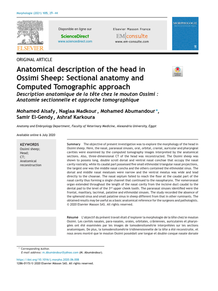 Anatomical Description of The Head in Ossimi Sheep | PDF