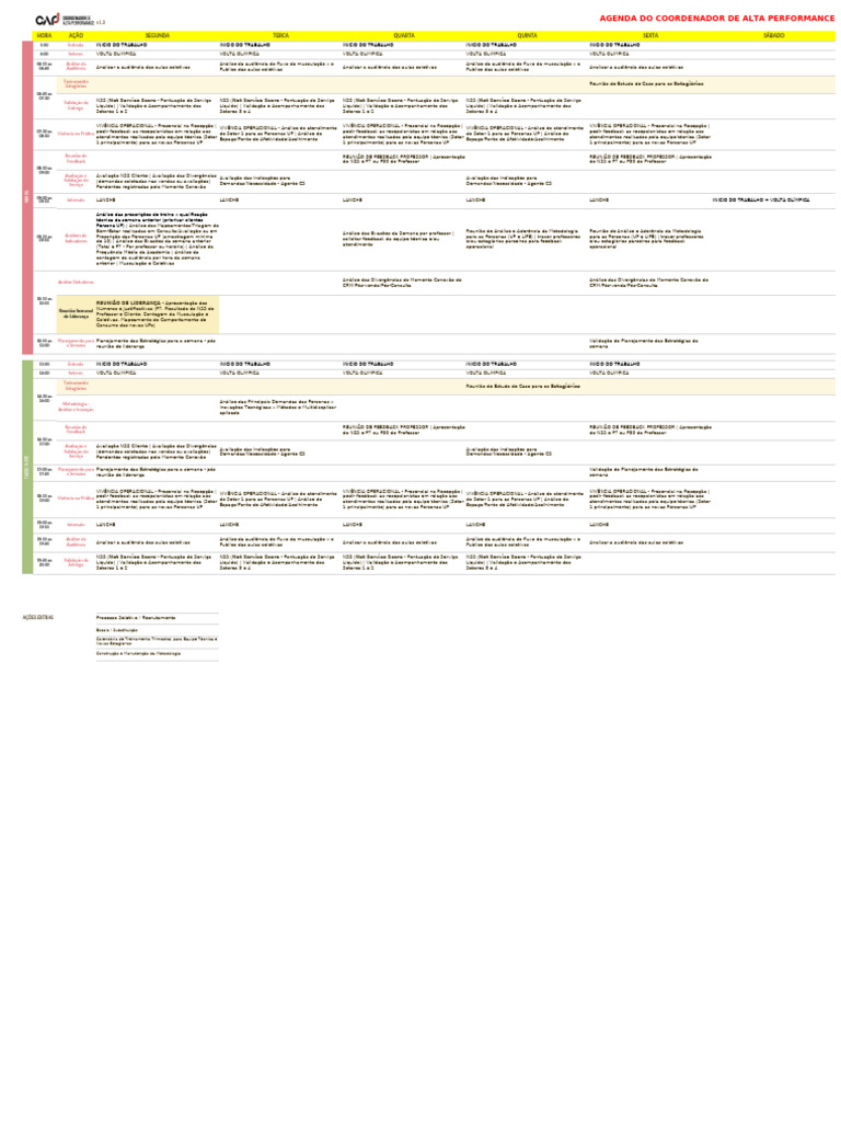 Cap Agenda Coordenador Alta Performance Verso01 2 | PDF