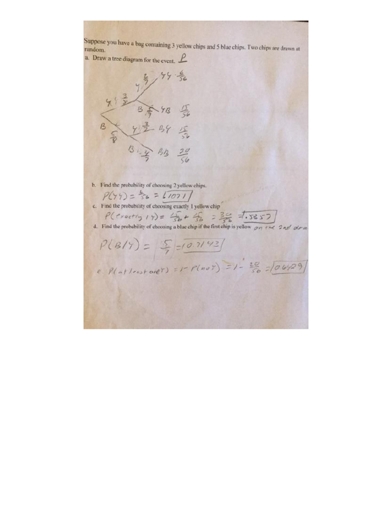 Chapter 3 Worksheet Tree Key | PDF