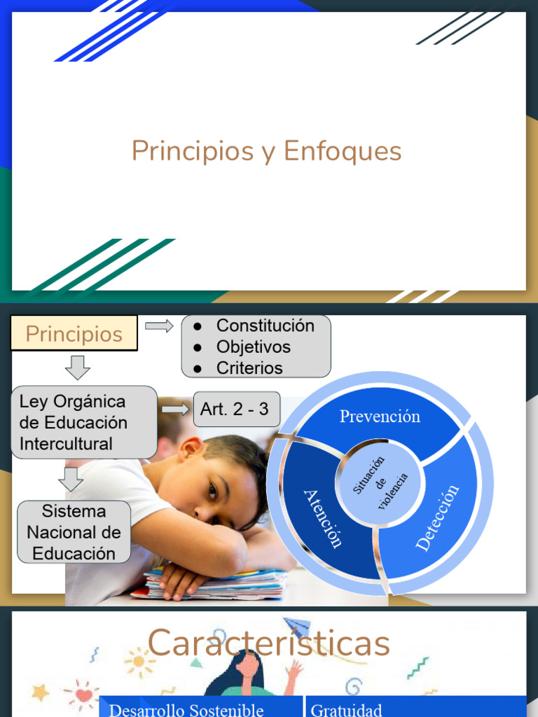 Principios y Enfoques | PDF