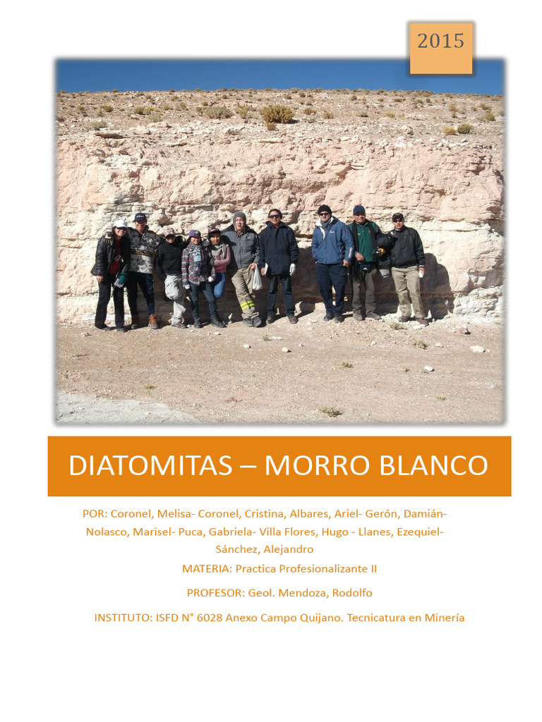 Diatomitas en Morro Blanco | PDF | Filtración