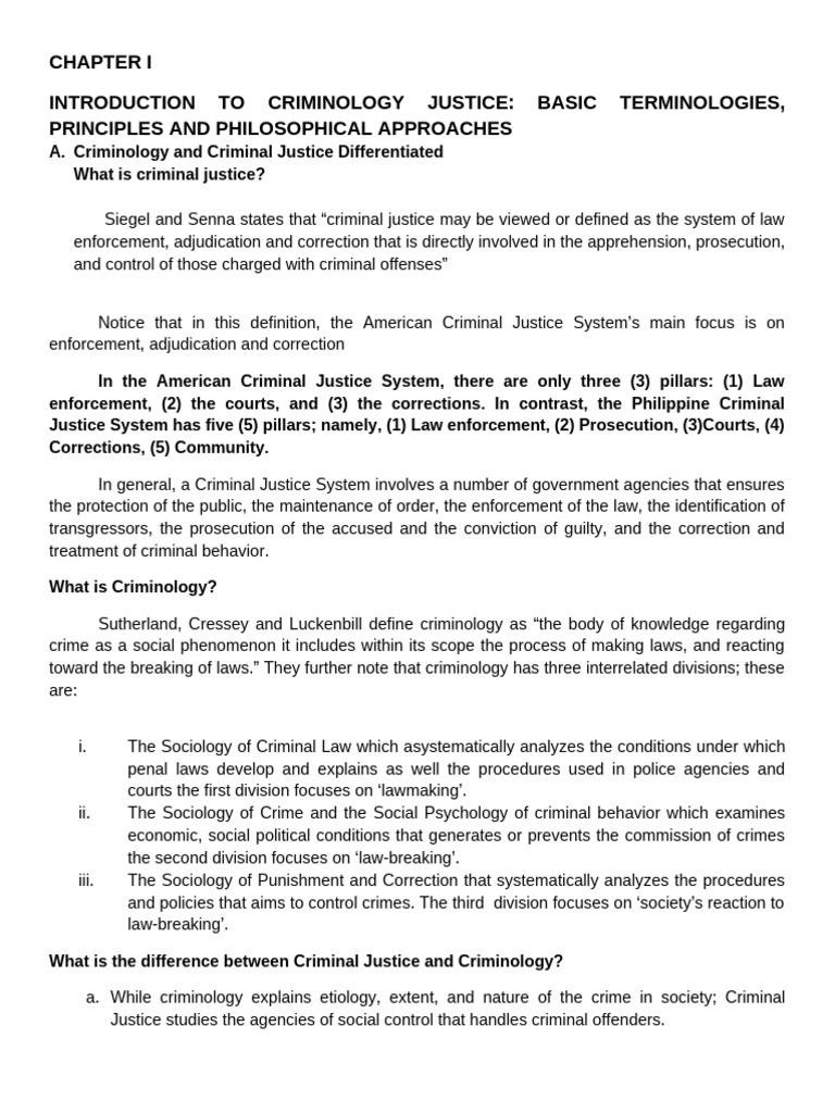 CRIMINAL JUSTICE SYSTEM | PDF