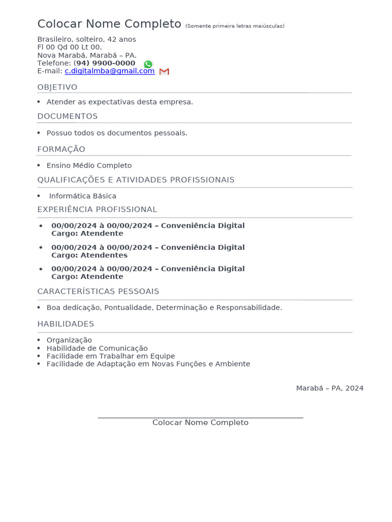 Currículo Novo Modelo 02 | PDF