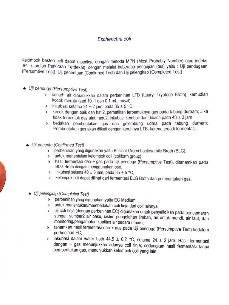 prosedur e coli | PDF