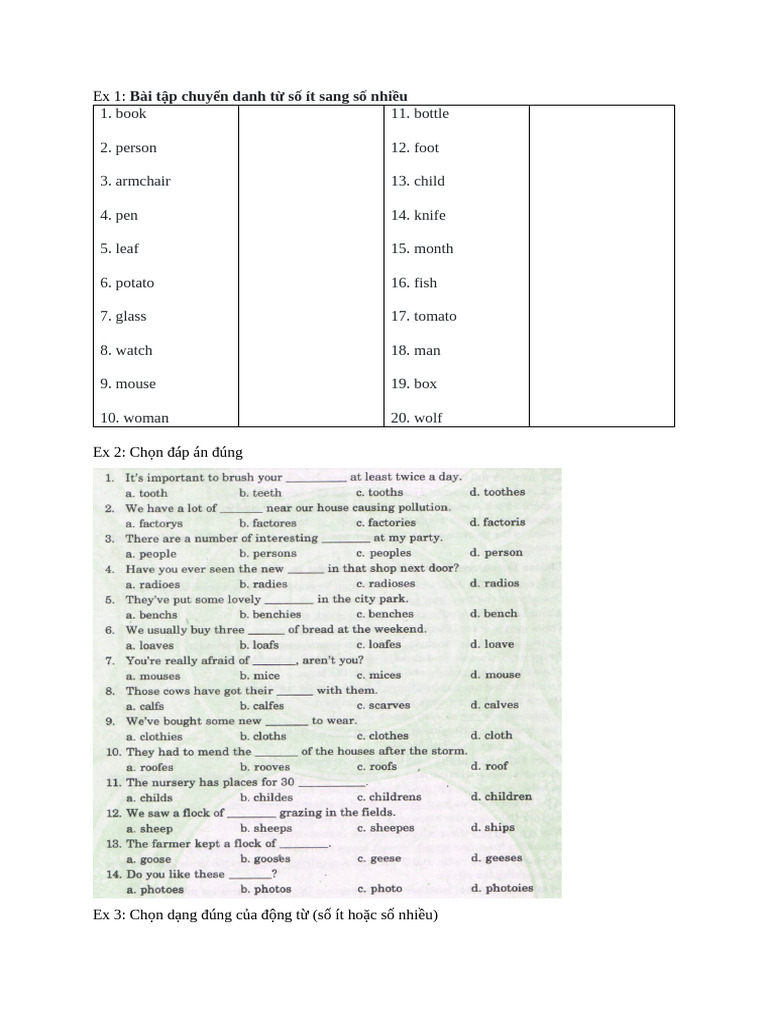 L1 - Practice - Nouns | PDF
