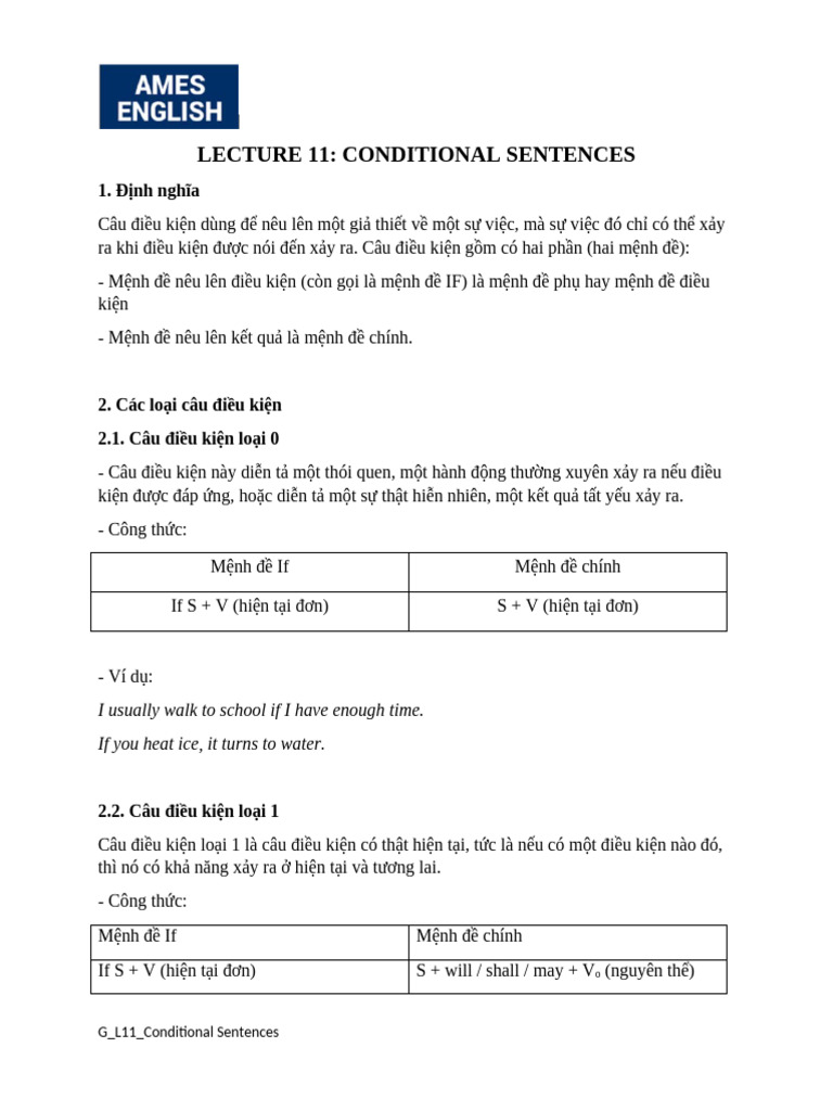 Conditional Sentences LT | PDF