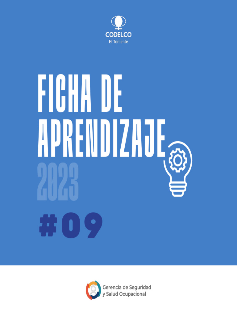 Ficha 09 GFUN 02-04-2023 Codelco | PDF Ficha 09 GFUN 02-04-2023 Codelco | PDF