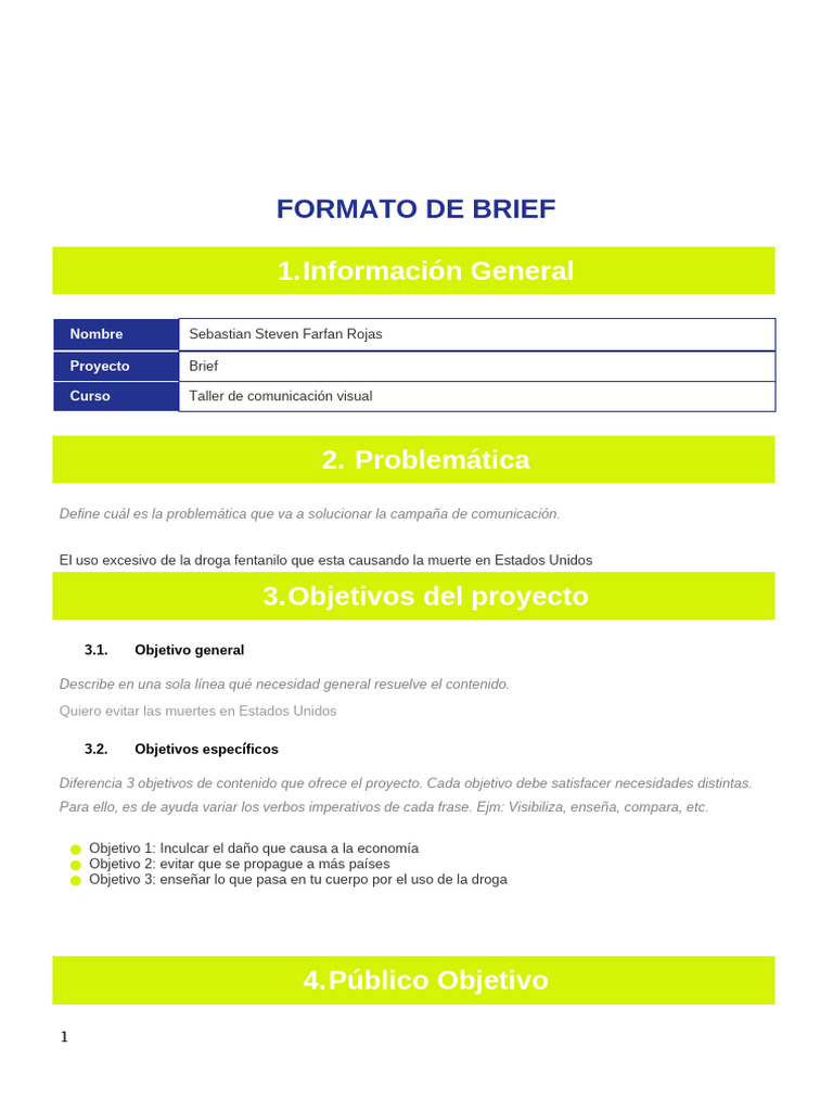 Formato Brief TCV | PDF