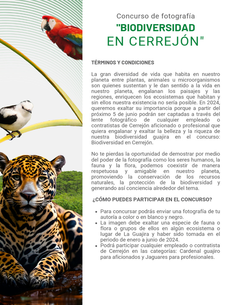 Concurso de Fotografia Biodiversidad en Cerrejon | PDF | Biodiversidad