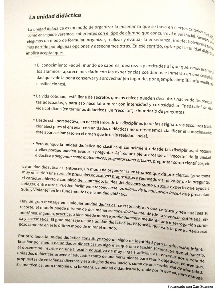 Unidad Didáctica. Daniel Brailovsky | PDF