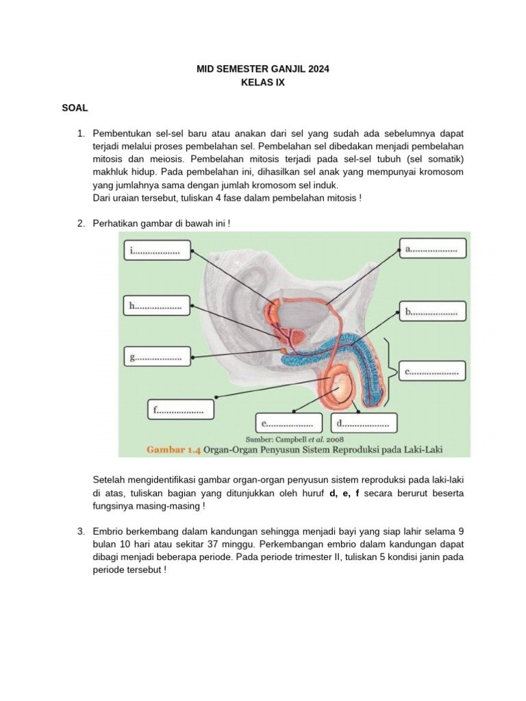 Ipa - Mid Ganjil KLS 9 | PDF | Pengembangan Diri | Sains & Matematika