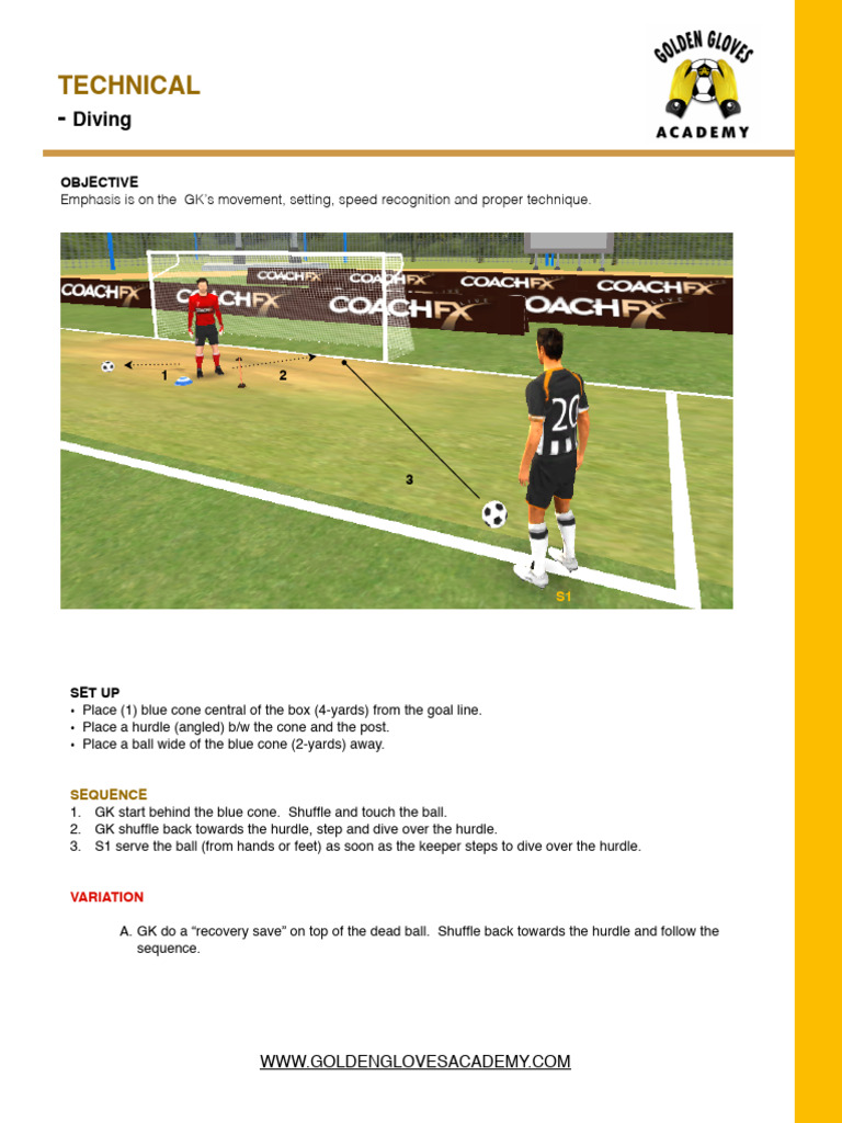 TECH - WARMUP - Golden Gloves - Angled Shot Stopping | PDF