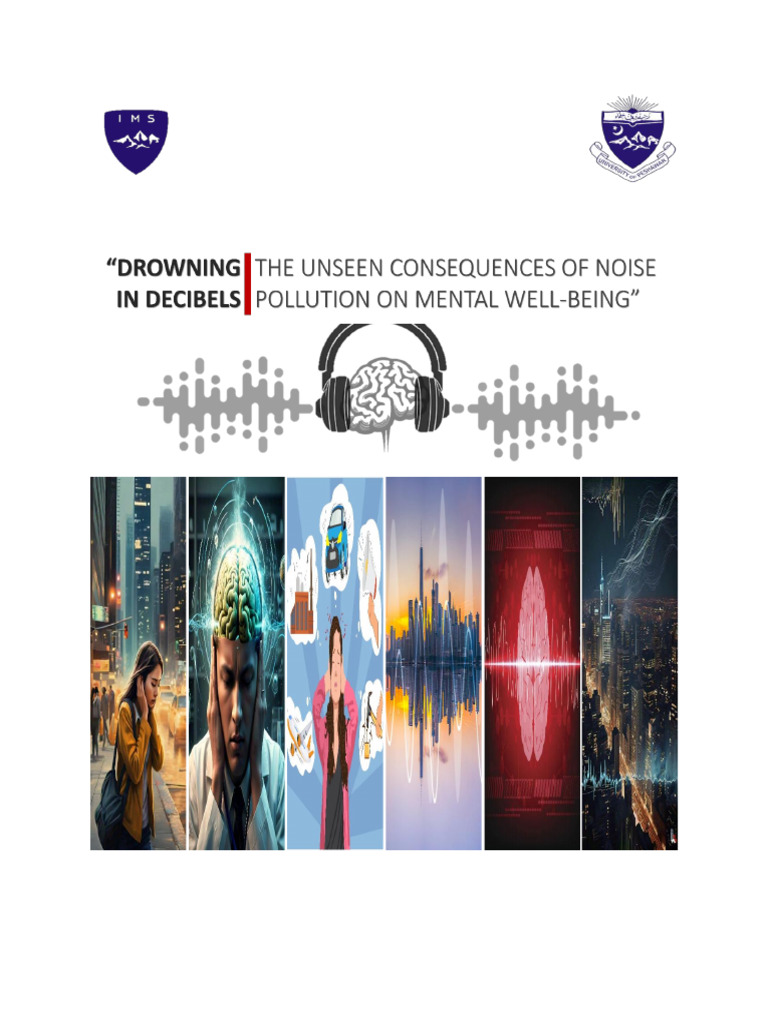 Drowning in Decibels | PDF | Noise | Social Science