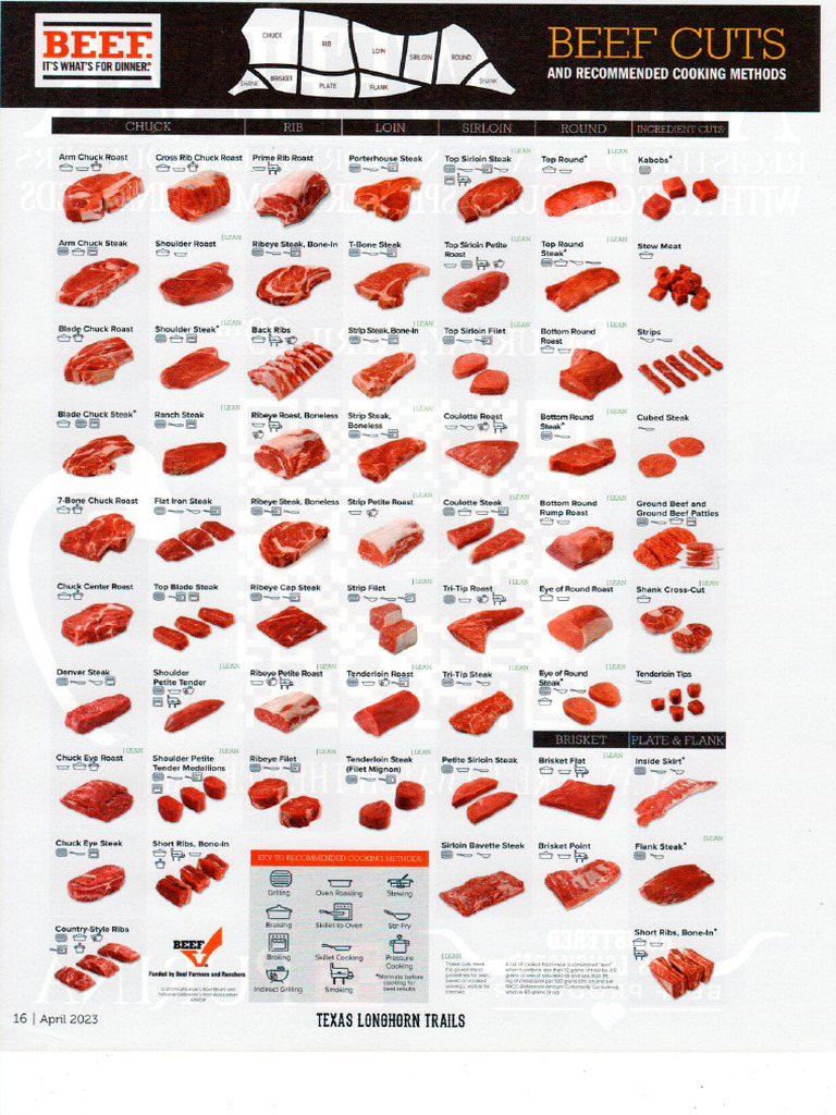 BEEF Cuts | PDF