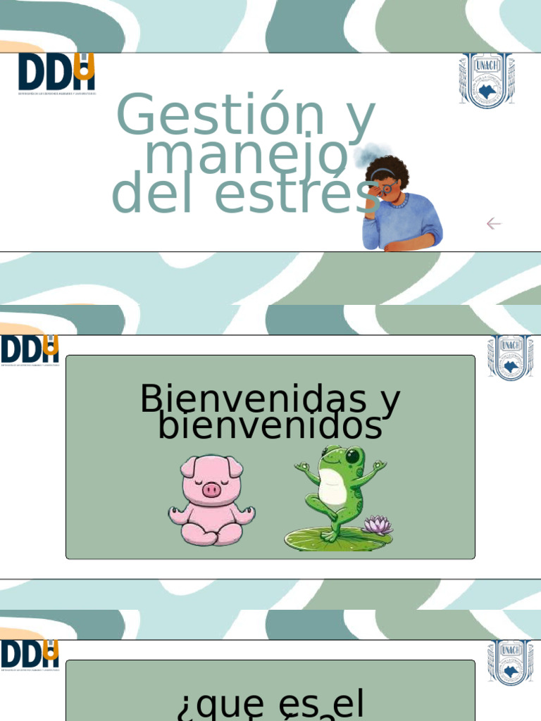 Gestión y Manejo Del Estrés | PDF