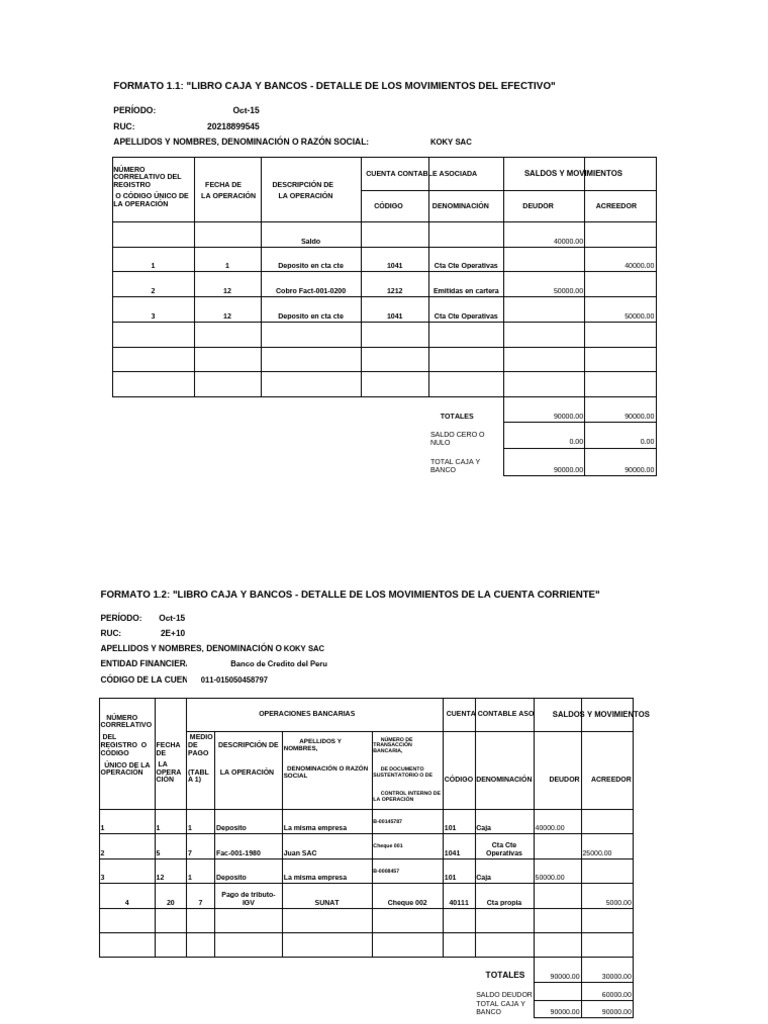 Formato 1.1 y 1.2 Registro de Caja-Desarrollado | PDF