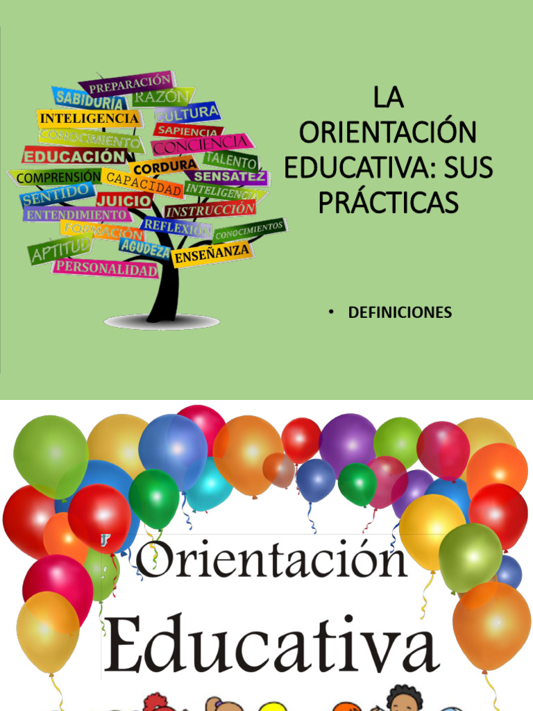 TEMA 1 OE 2024 | PDF