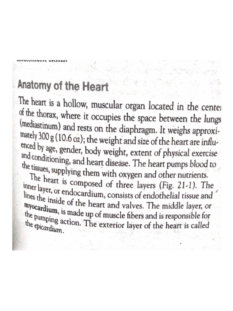 Anatomy of the Heart | PDF