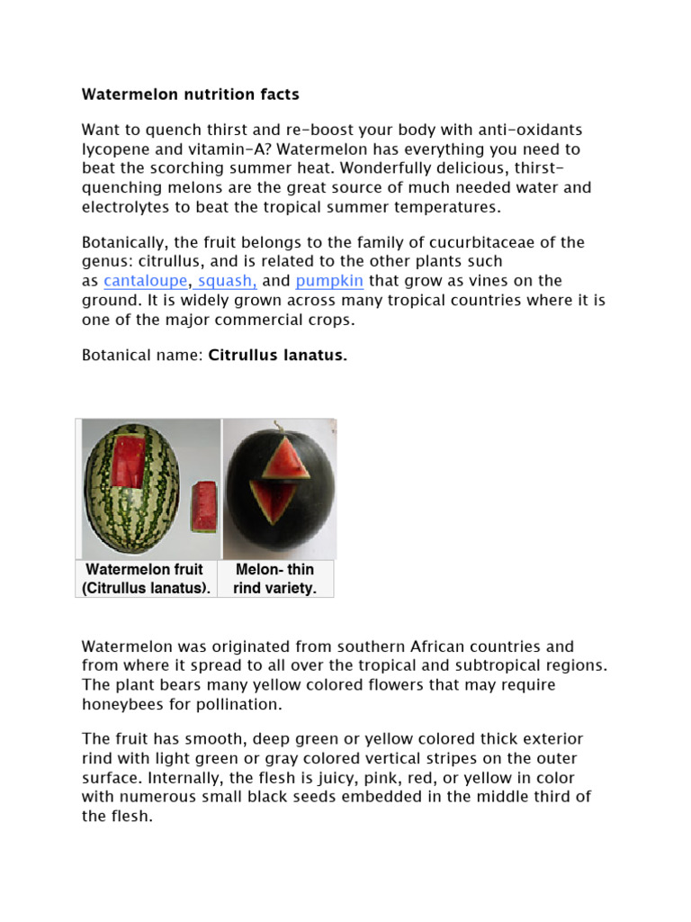 Watermelon Facts | PDF