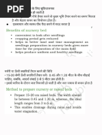 Nursery Bed Types and Seed Sowing Guide | PDF | Plant Nursery | Sowing