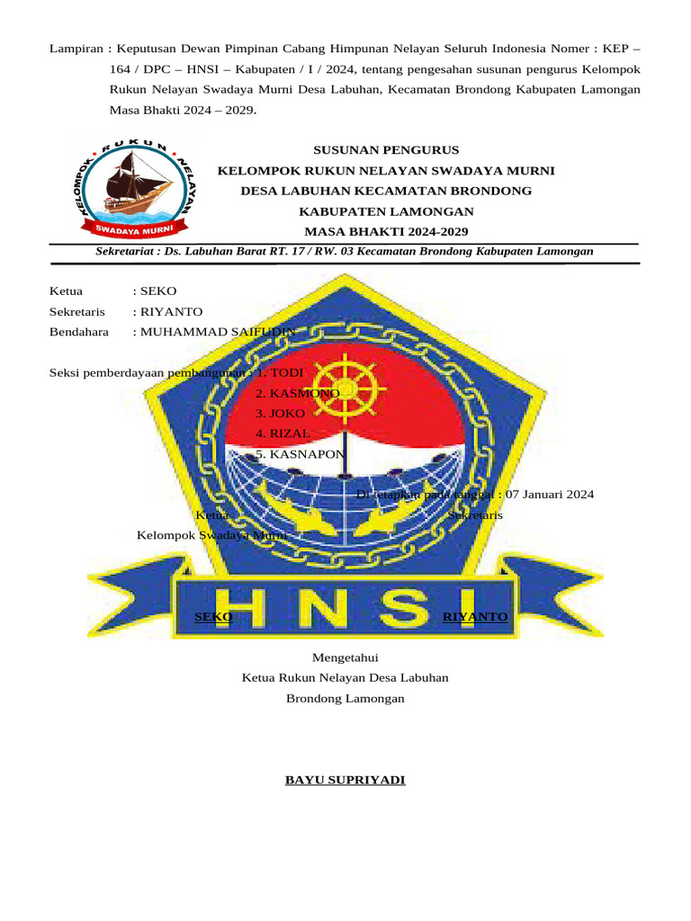 HNSI | PDF
