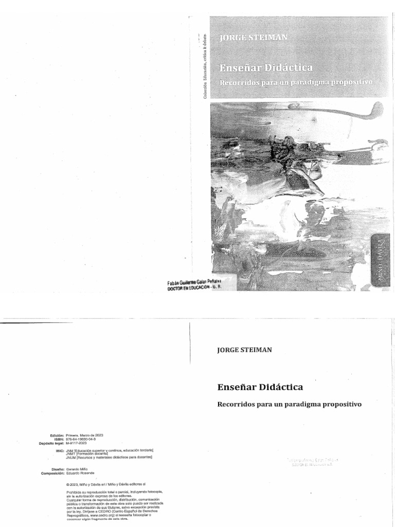 2 Steiman Enseñar Didactica Cap.1 | PDF