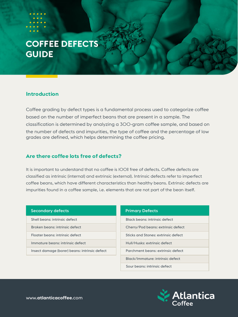 Coffee Defects Guide Atlantica Coffee | PDF