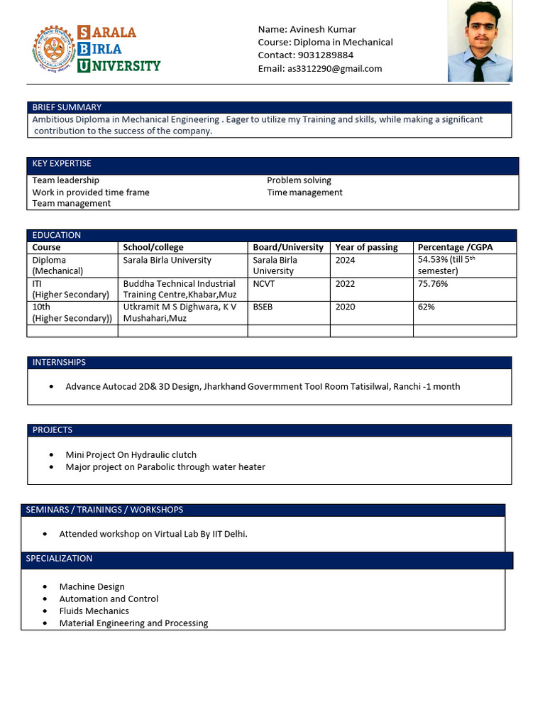 resume 16 sbu | PDF