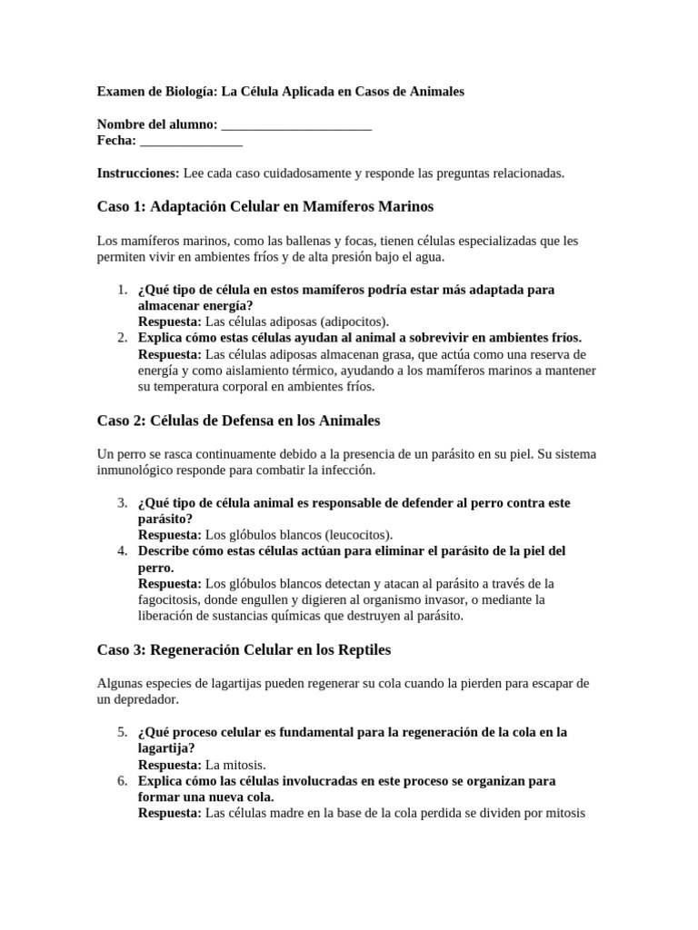 Desarrllo Del 5 Examen de Biología La Celula Animal | PDF