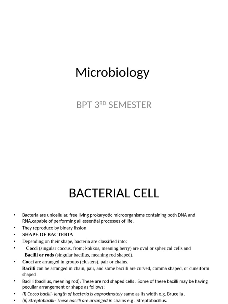 Bacterial Anatomy | PDF