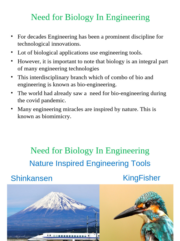 Bio - Engineering- Introduction | PDF