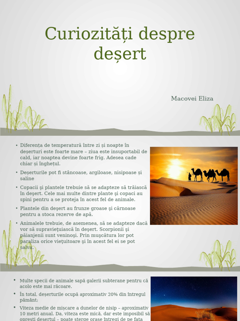 Curiozități Despre Deșert | PDF