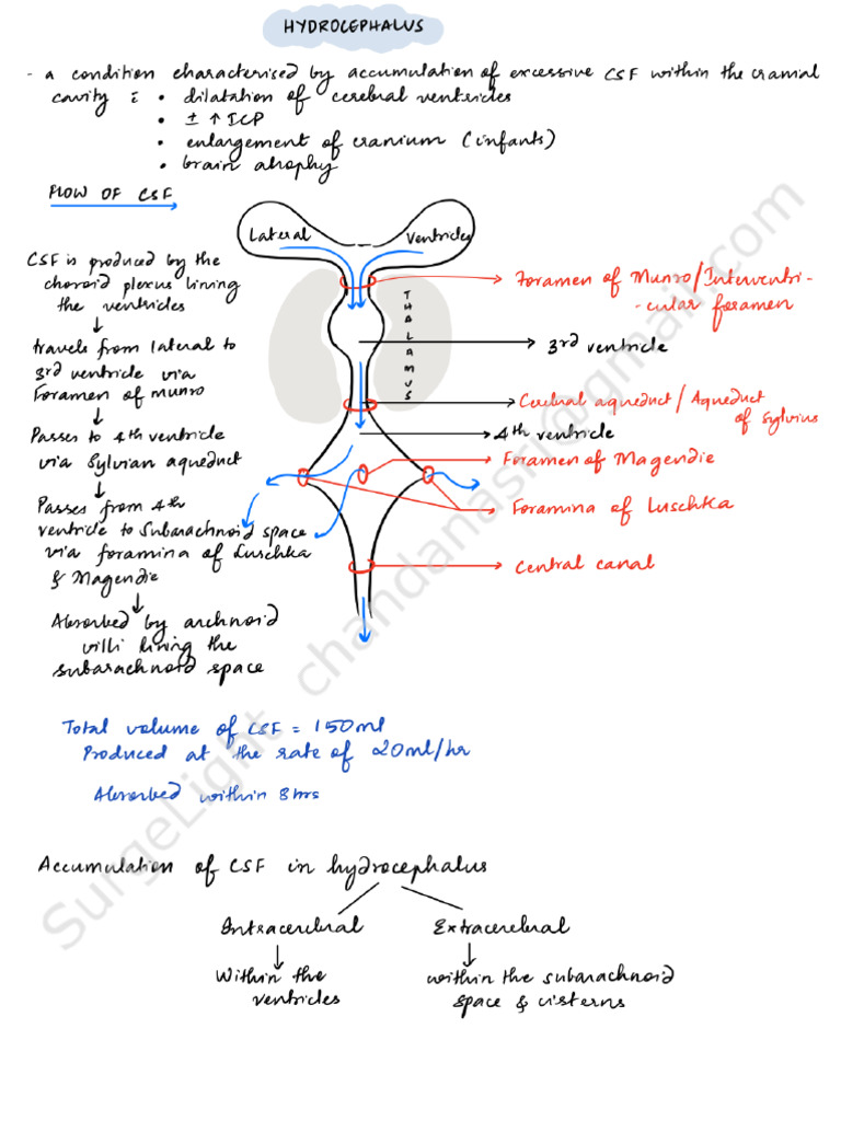 Neurosurgery Notes | PDF