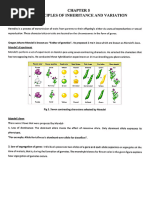 Class 12 Biology Notes Chapter - 5 Notes Principles of Inheritance and ...