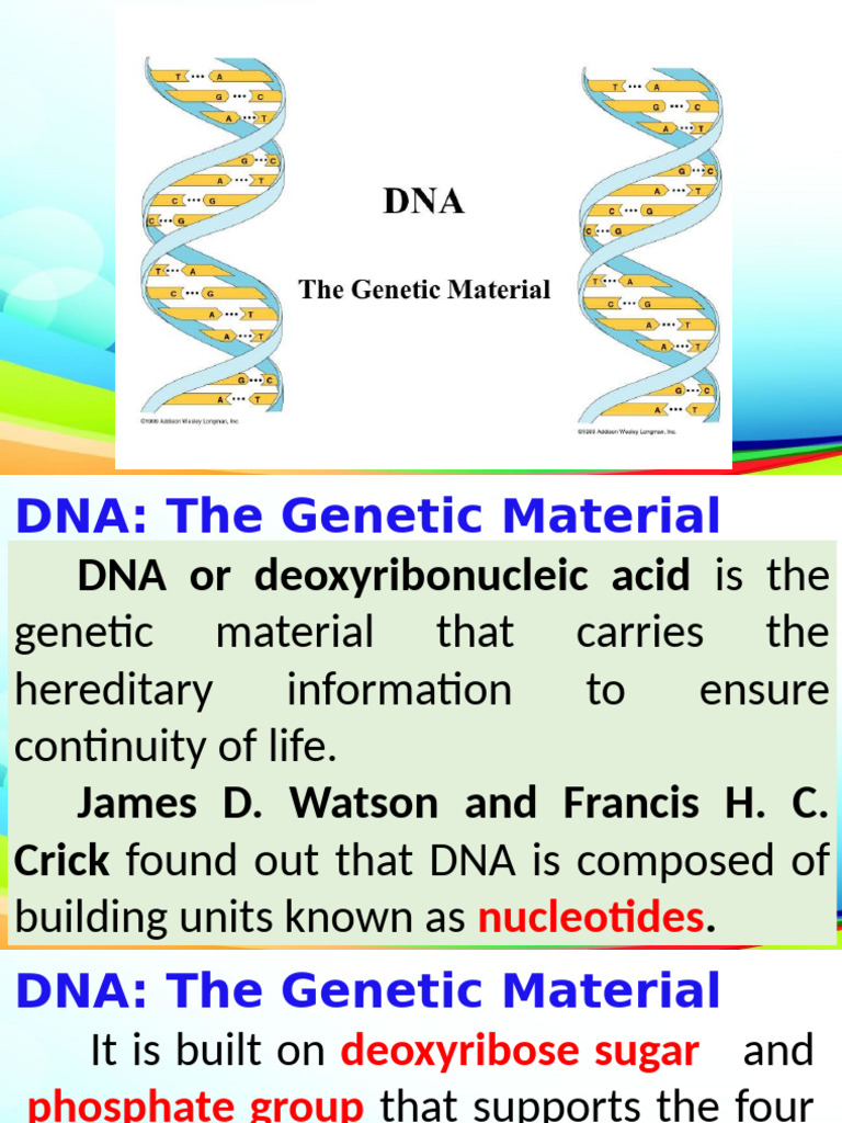 DNA The Genetic Material | PDF