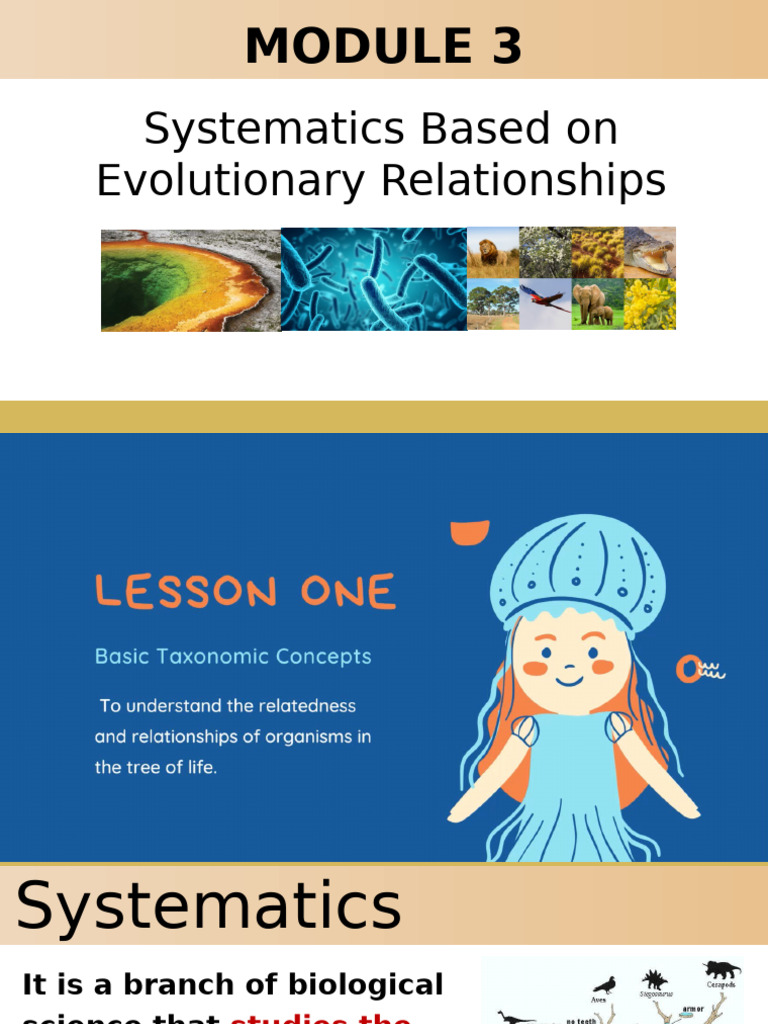 GB 2 - Module 3 | PDF
