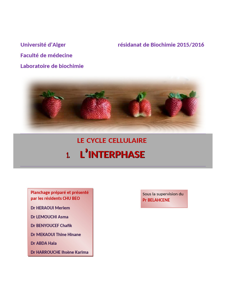 L'Interphase | PDF