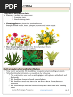 Grade 3 Creative Arts Notes | PDF | String Instruments | Bead