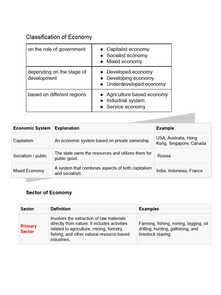 Classification of Economy | PDF