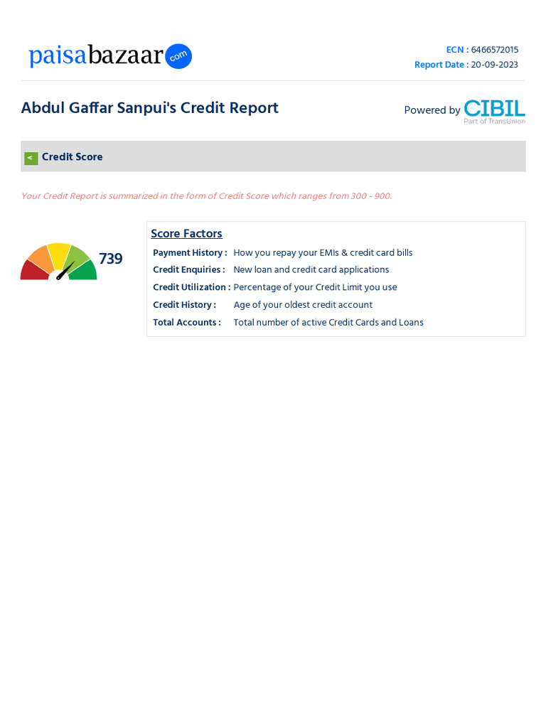 Abdul Ga Ar Sanpui's Credit Report: Score Factors | PDF