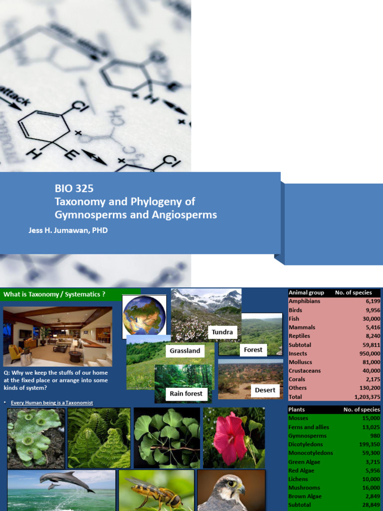 Taxonomy and Phylogeny Study Guide | PDF | Leaf | Science & Mathematics