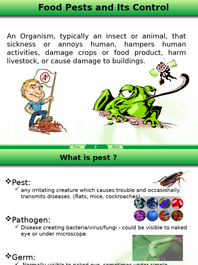 Pest Control | PDF