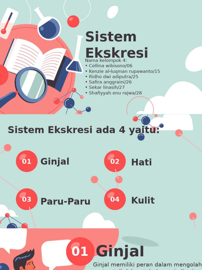 Sistem Ekskresi | PDF