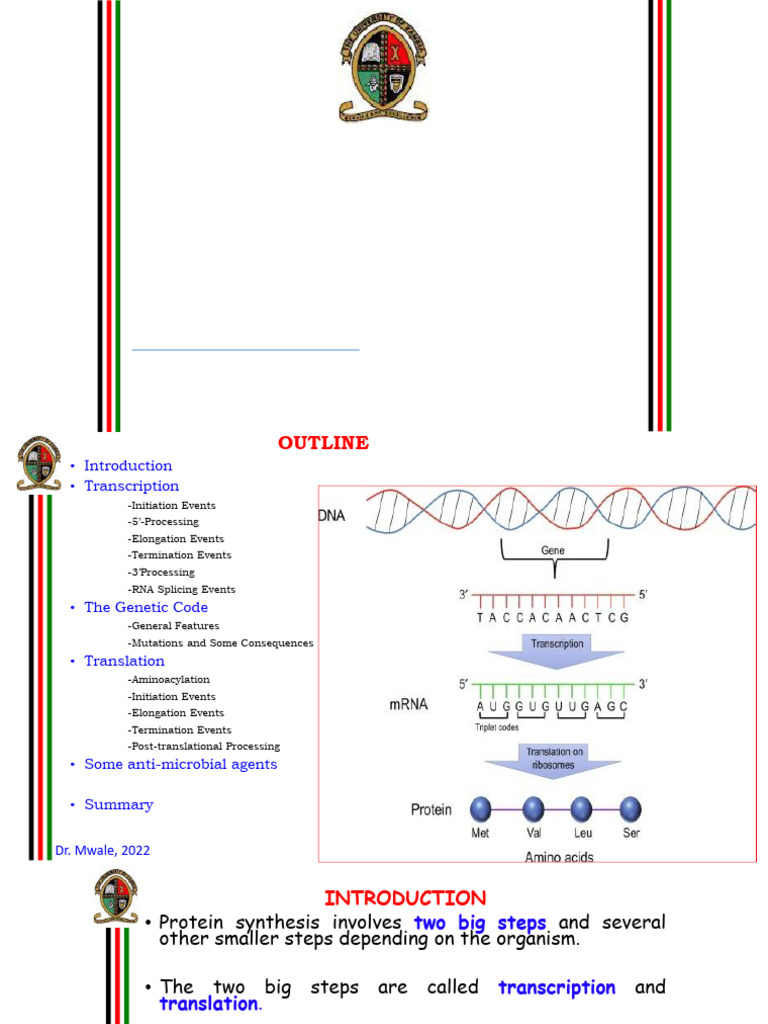 (B) GENETIC CODE AND PROTEIN SYNTHESIS - 2022 - No | PDF | Genetic Code | Translation (Biology)